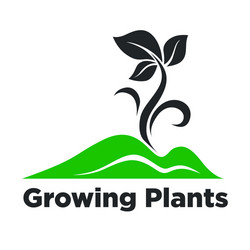 Phases green plant growing Royalty Free Vector Image