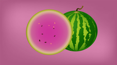 Pink Watermelon Vector Images (over 4,200)