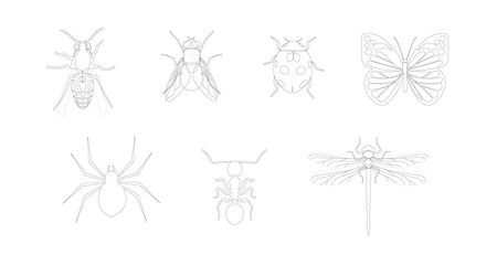 Firefly Outline Vector Images (over 150)