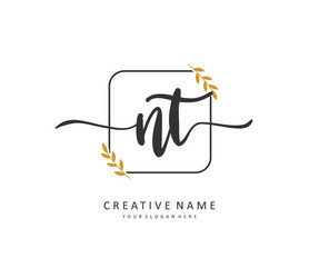 N t nt initial letter handwriting and signature Vector Image