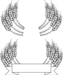 Hand drawing ears of rye Royalty Free Vector Image