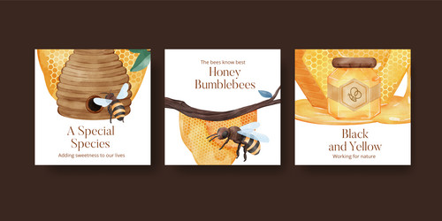Poster template with honey bee conceptwatercolor Vector Image