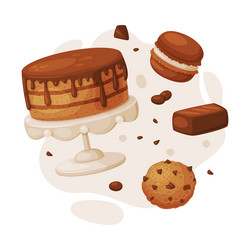 Delicious dessert chocolate cookies set collection