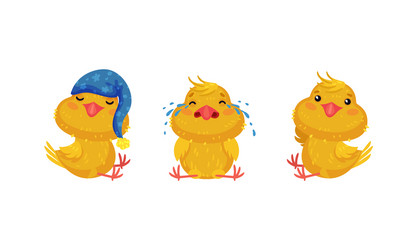 Crying Chicken Vector Images (over 180)