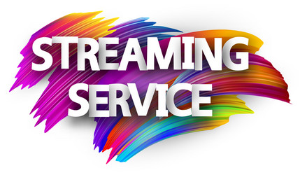Streaming service sign in two lines on brush Vector Image