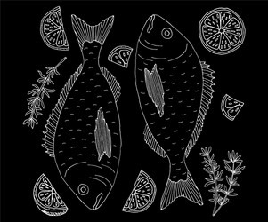 Beautiful fish dorado hand drawing set Royalty Free Vector