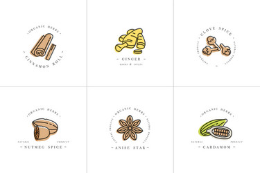 Cardamom Logo Vector Images (over 390)
