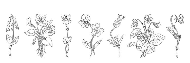 Violet Flower Outline Vector Images (over 1,900)