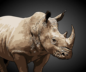 Anime Rhino Vector Images (over 9,500)