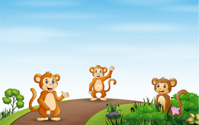 Three Monkeys Drawing Vector Images (over 120)