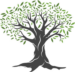 Olive Tree Vector Images (over 13,000)