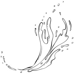 Liquid splash line art Royalty Free Vector Image