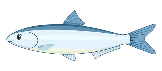 Cartoon Anchovies Fish Vector Images (over 180)