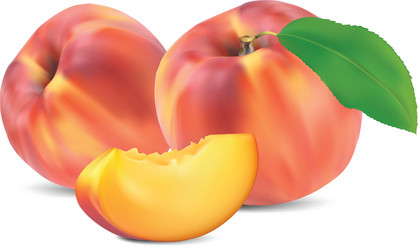 Peaches Vector Images (over 29,000)