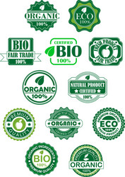 Colorful natural product bio green labels set Vector Image