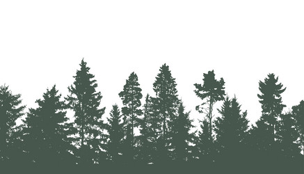 Forest landscape with black and white Royalty Free Vector
