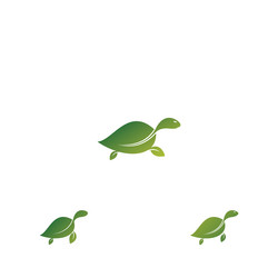 Tortoise logo design template inspiration Vector Image