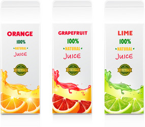 Juice package set carton box Royalty Free Vector Image