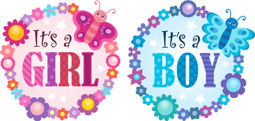 Is it a girl or boy theme 9 Royalty Free Vector Image