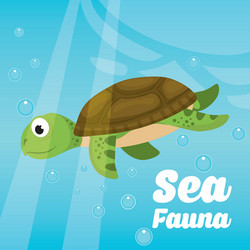 Sea fauna cartoon Royalty Free Vector Image - VectorStock