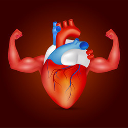 Strong healthy human heart powerful Royalty Free Vector