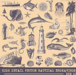 Nautical hand drawn set Royalty Free Vector Image