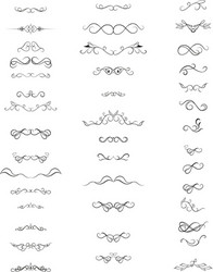 Geometric and floral horizontal decorative text Vector Image