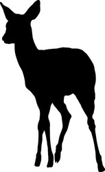 Doe Profile Silhouette