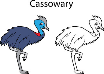 Cartoon Cassowary Vector Images (over 690)
