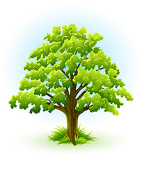 Oak Tree Vector Images (over 49,000)