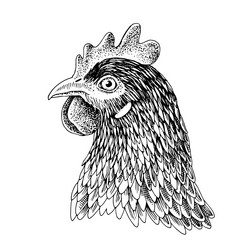 Flying Rooster Vector Images (over 890)