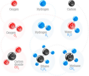 Chemical formula and molecule model hydrogen Vector Image