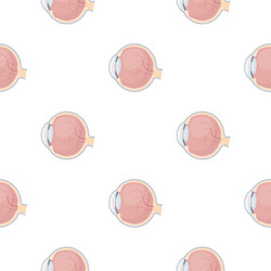Human eyeball icon in cartoon style isolated Vector Image