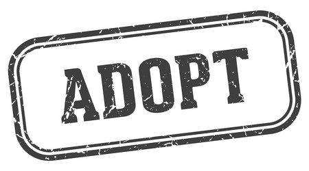 Adopt stamp label on transparent background Vector Image