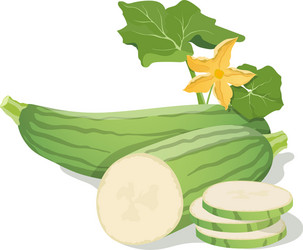 Vegetables Vector Images (over 550,000)