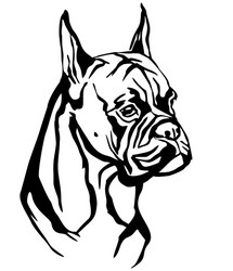 Boxer Dog Face Drawing