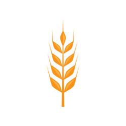 Wheat design Royalty Free Vector Image - VectorStock