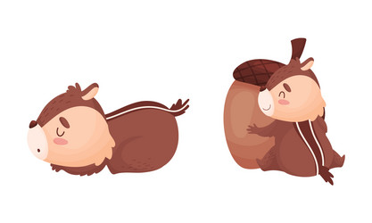 Funny chipmunk character with cute snout sleeping Vector Image
