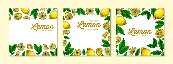 Lemon Border Vector Images (over 1,700)