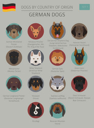 Dogs by country of origin german dog breeds Vector Image