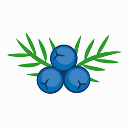 Juniper berry icon Royalty Free Vector Image - VectorStock