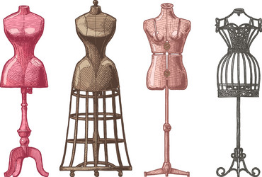 Dress form Royalty Free Vector Image - VectorStock