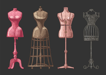 Dress form Royalty Free Vector Image - VectorStock