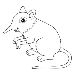 Elephant shrew animal coloring page for kids Vector Image