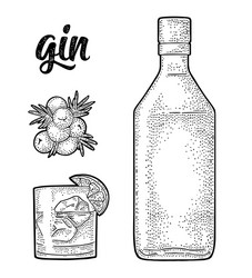 Juniper Gin Drawing Vector Images (96)