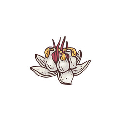 Cocoa Tree Vector Images (over 2,900)