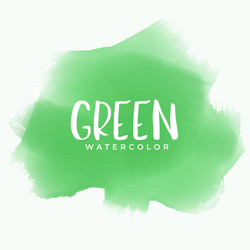 Green watercolor splash stain texture background Vector Image
