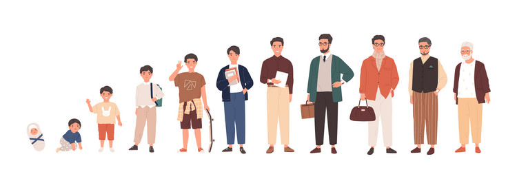 Human Life Stages Royalty Free Vector Image - VectorStock