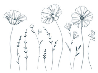 Beautiful clip art stock set Royalty Free Vector Image