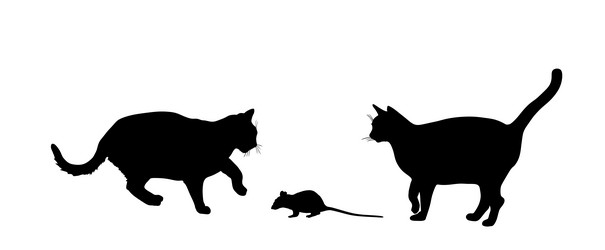 Hungry cats is chasing the mouse silhouette Vector Image